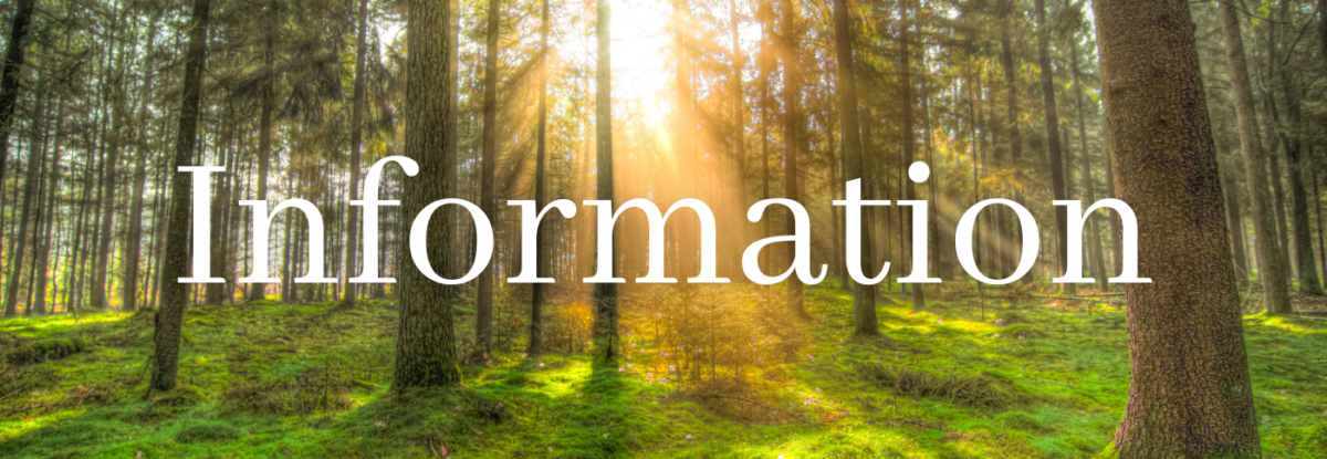 BOMU健康財団公式サイト